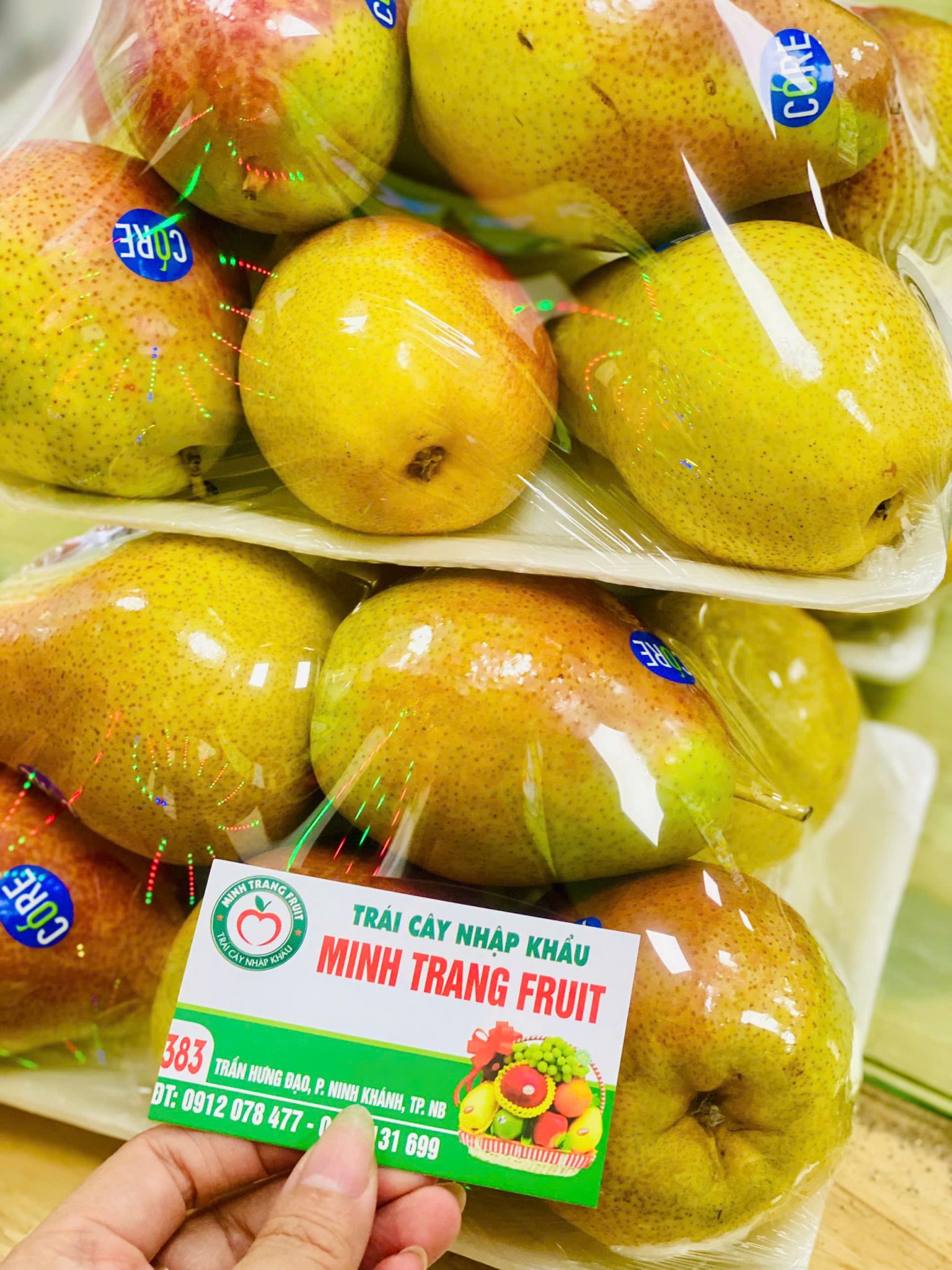 LÊ NAM PHI VÀ NHỮNG ĐIỀU BẠN CHƯA BIẾT * Hoa quả sạch nhập khẩu Ninh Bình